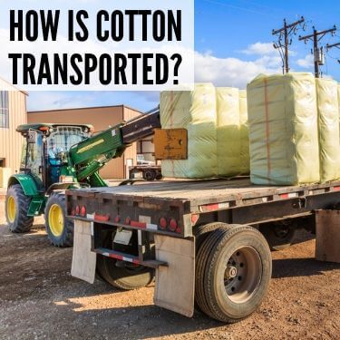 The Cotton Supply Chain in Texas | USA Truckload Shipping