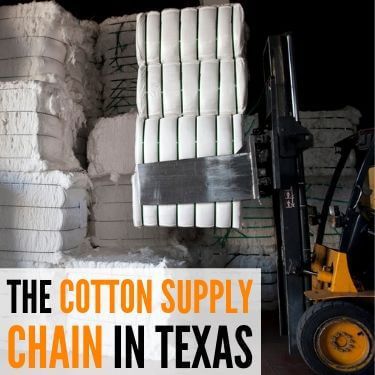 The Cotton Supply Chain in Texas | USA Truckload Shipping