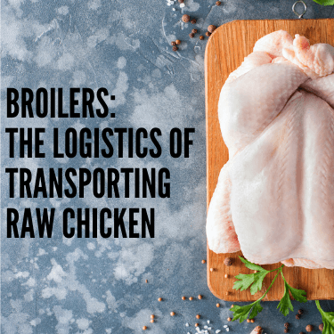 Broilers: The Logistics of Transporting Raw Chicken | USA Truckload ...